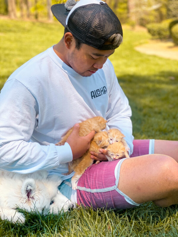 Aloha Vet – Mooresville Animal Hospital Veterinarian – Aloha Vet – Your ...